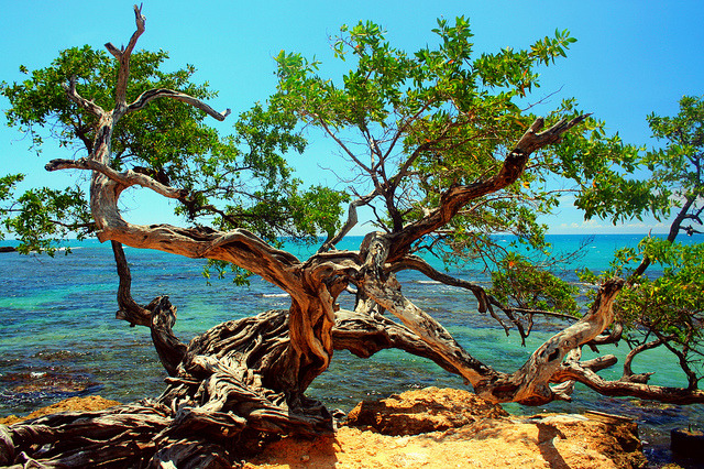 Home – David Stirrat